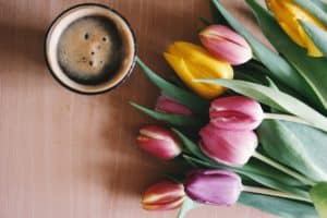 Coffee Bloom: The Science Behind A Good And A Great Cup